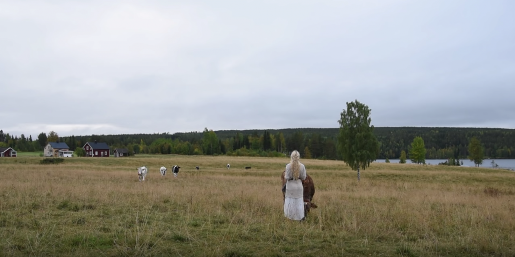 10 bad (?) things about Sweden • Home of the swedes